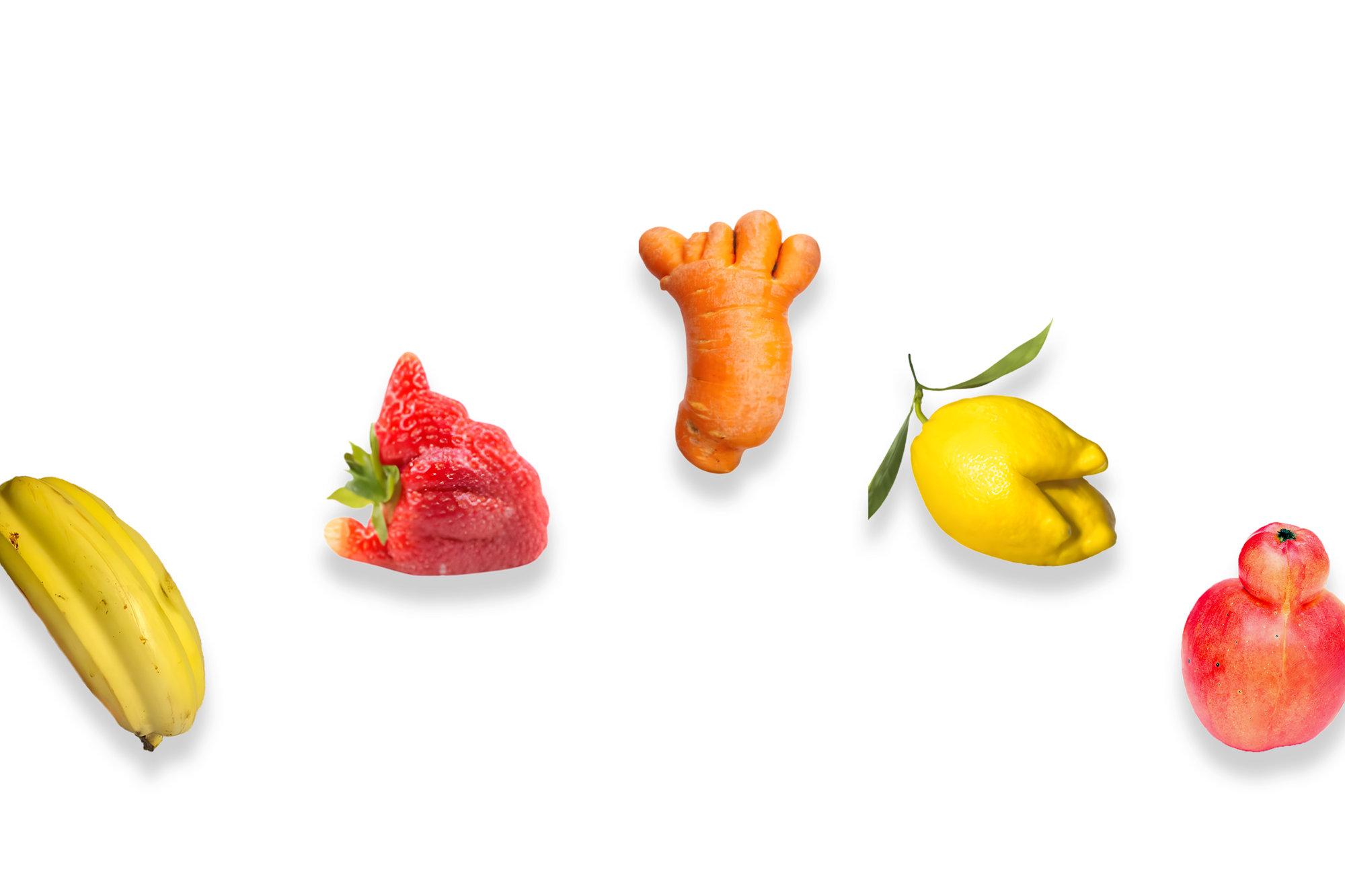 Funky Food - Always Fresh, Sometimes Funky